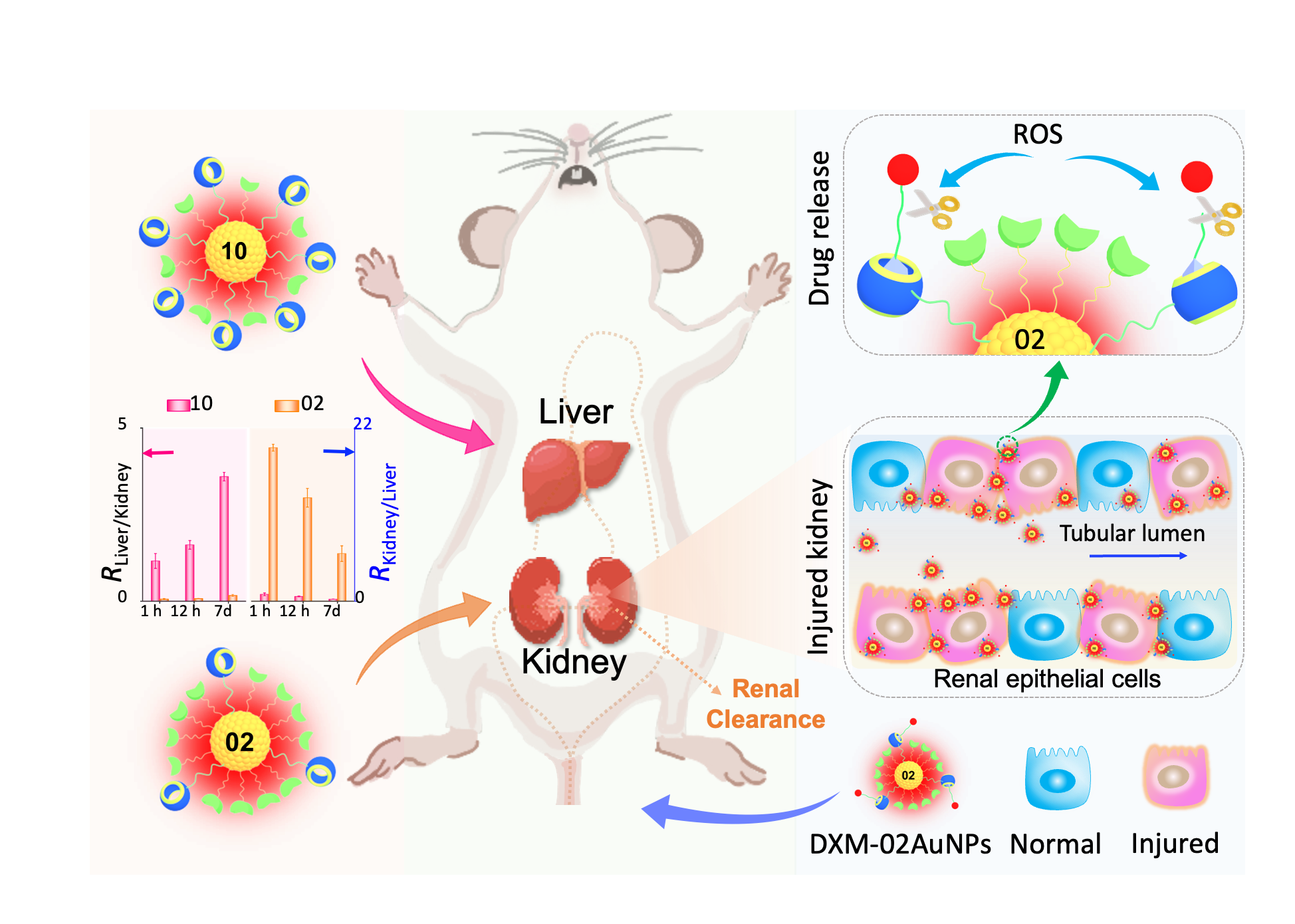 PUBLICATIONS | The RW Group