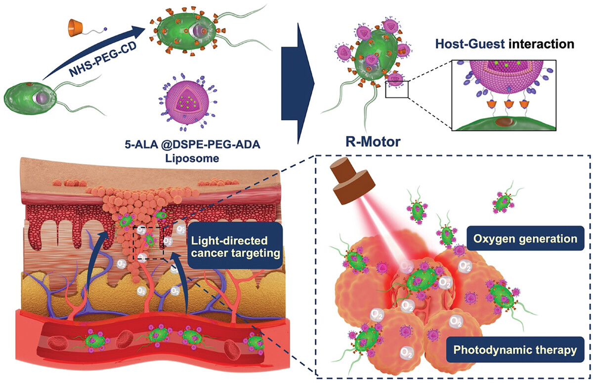 PUBLICATIONS | The RW Group